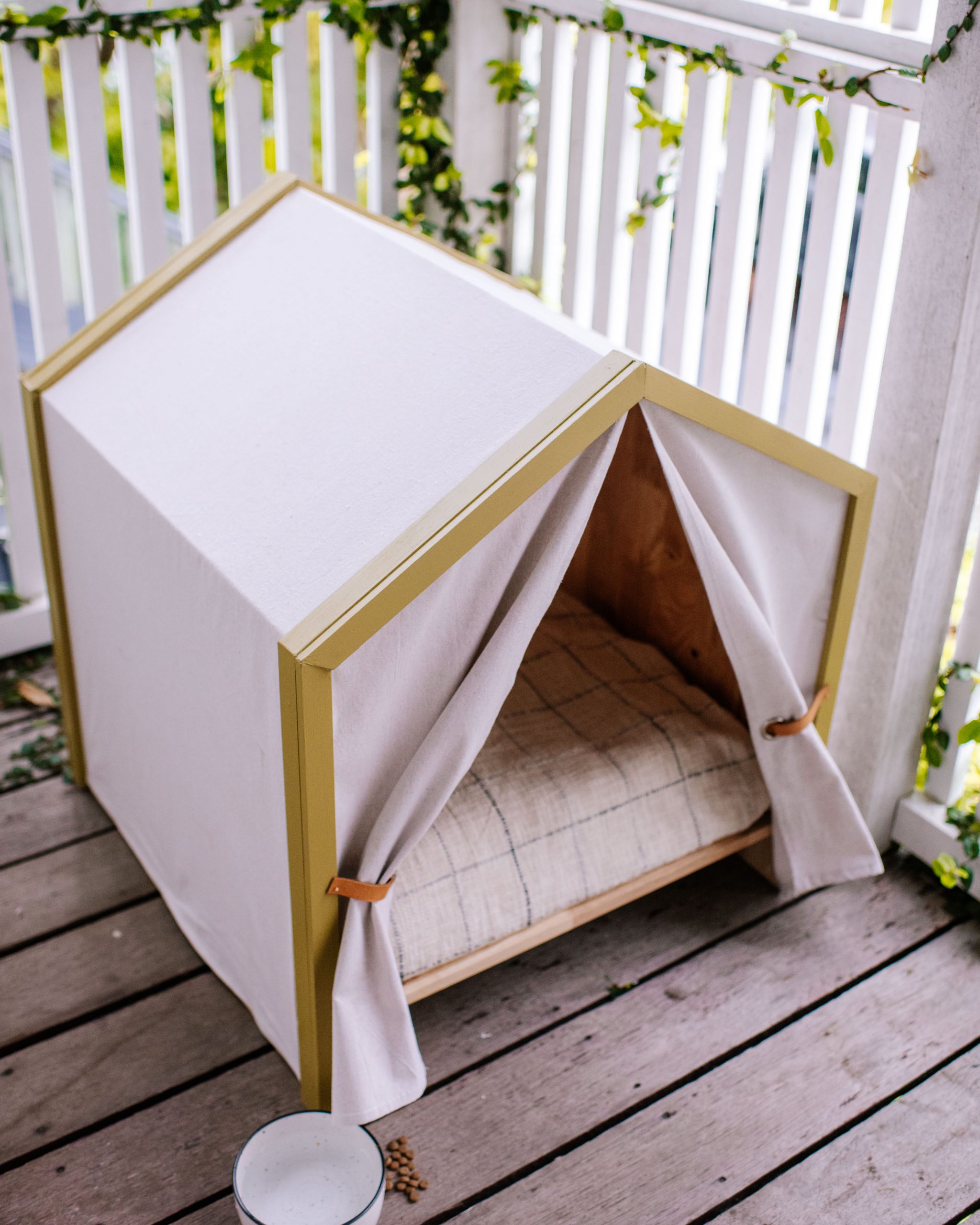 Making A Safari Inspired Pet Home | Collective Gen