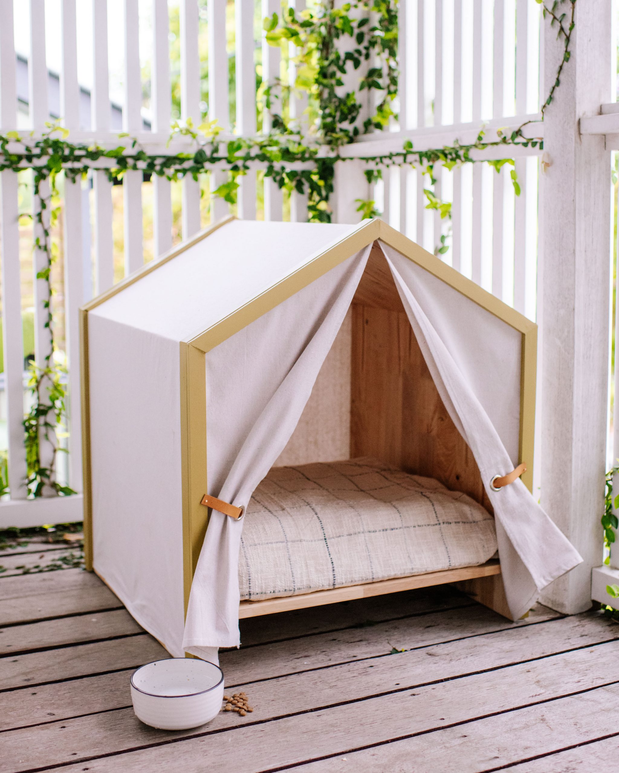 Making A Safari Inspired Pet Home | Collective Gen